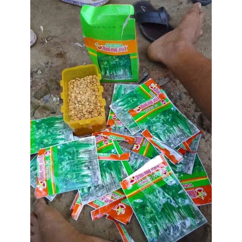 Jual Benih Bibit Paria Pare Yunan F1 Isi Benih 10 gram 50-65 butir ...