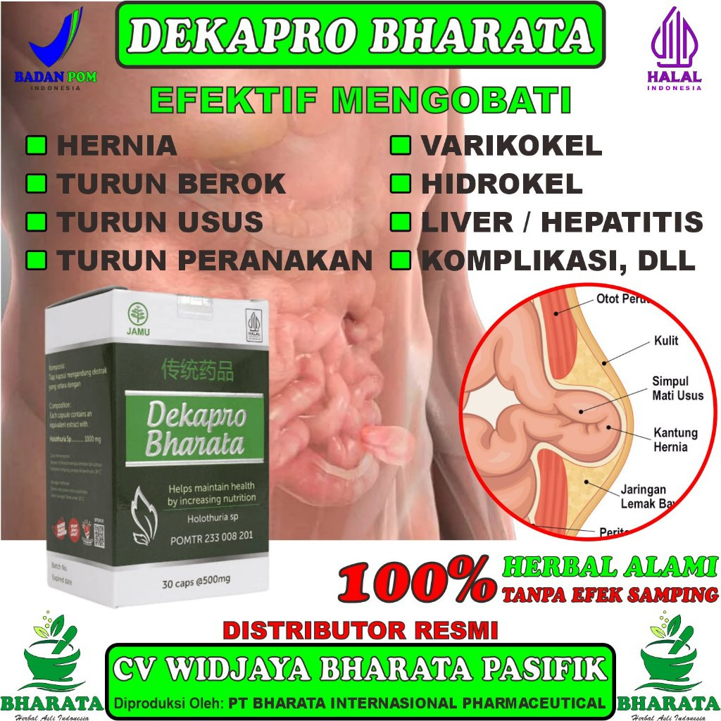 Jual Obat Hernia Turun Berok Ampuh 𝗗𝗘𝗞𝗔𝗣𝗥𝗢 𝗕𝗛𝗔𝗥𝗔𝗧𝗔 Original - Obat ...