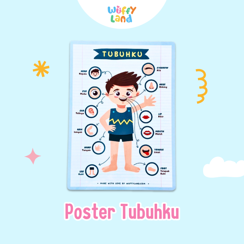 Jual Poster Edukasi - Tubuhku (tebal) | Shopee Indonesia