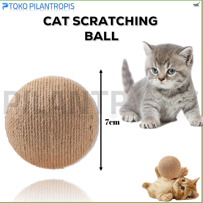 Jual Garukan Kucing Cat Scratcher Mainan Kucing Bola Cakaran Kucing 7cm ...