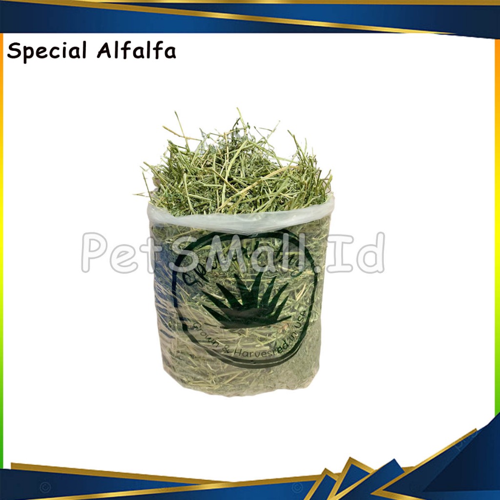 Jual Rumput Alfalfa Hay 1 kg SH Special Hay-Alfalfa 1kg Makanan Kelinci ...