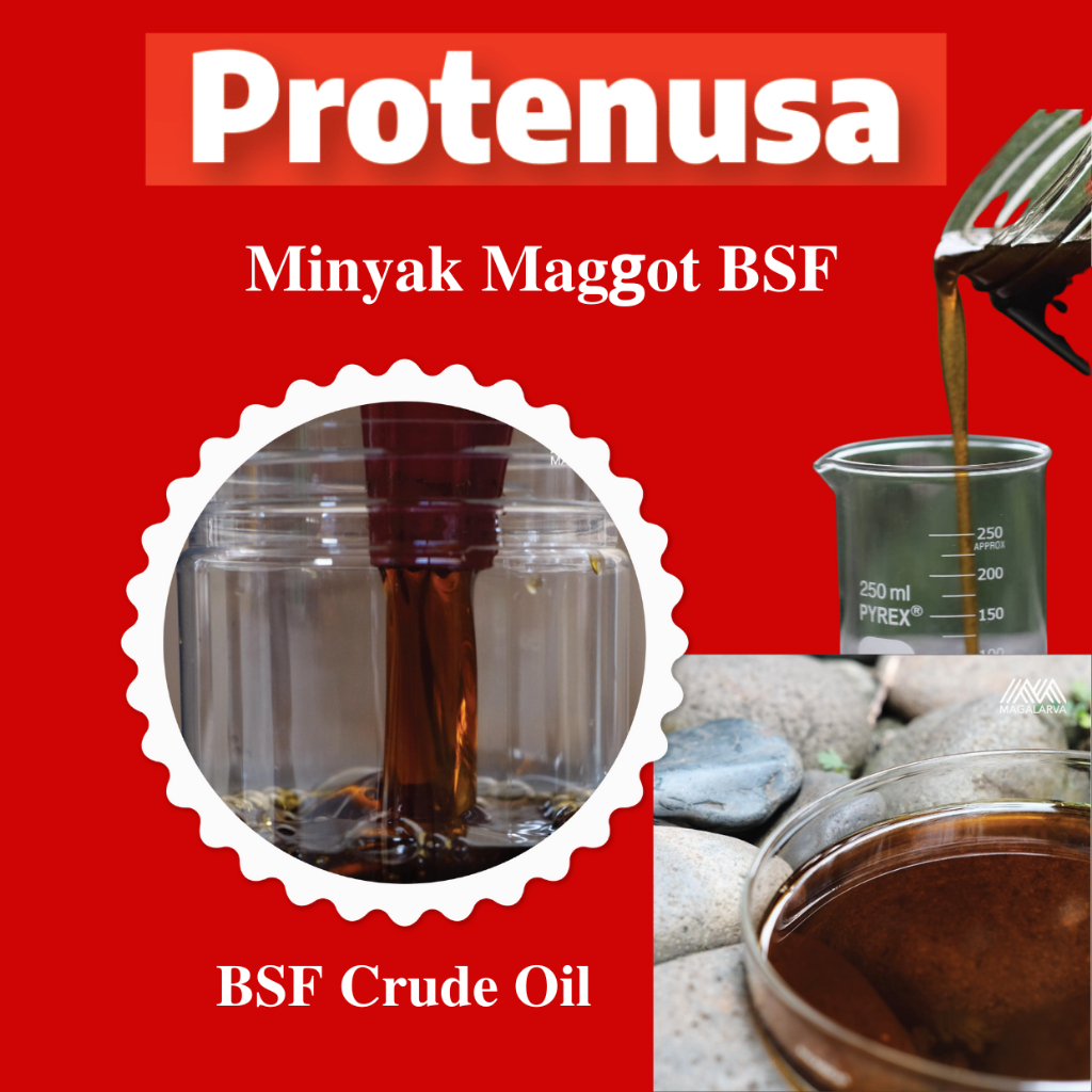 Jual 𝗣𝗥𝗢𝗧𝗘𝗡𝗨𝗦𝗔 𝗠𝗜𝗡𝗬𝗔𝗞 𝗠𝗔𝗚𝗢𝗧 𝐁𝐒𝐅 𝟓𝟎𝟎 𝐌𝐋 𝐏𝐑𝐄𝐌𝐈𝐔𝐌 𝐆𝐑𝐀𝐃𝐄 𝐀+ 𝗡𝗨𝗧𝗥𝗜𝗦𝗜𝗔𝗟 𝐁𝐒𝐅 ...