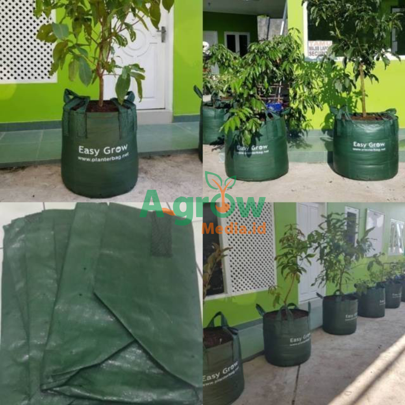 Jual Planter Bag 50 Liter Easy Grow Hijau & Hitam Pot Tanaman Besar uk ...