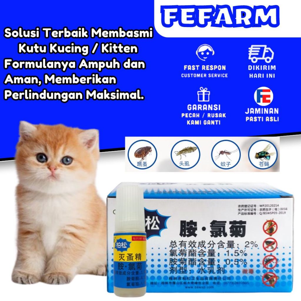 Jual Obat Tetes Kutu Kucing Solusi Pembasmi, Penghilang dan Anti Kutu ...