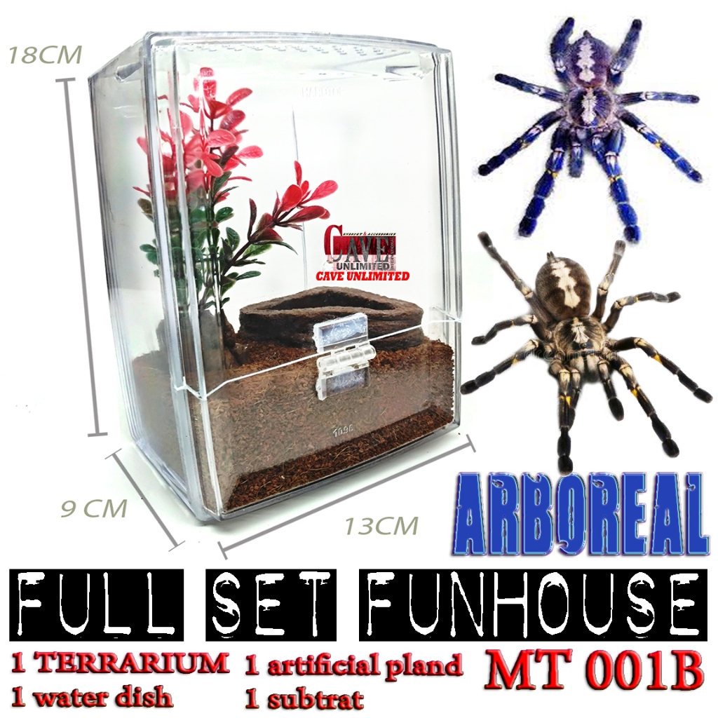 Jual MT001B ARBOREAL PAKET ENCLOSURE KANDANG INSECTA TARANTULA LABA ...