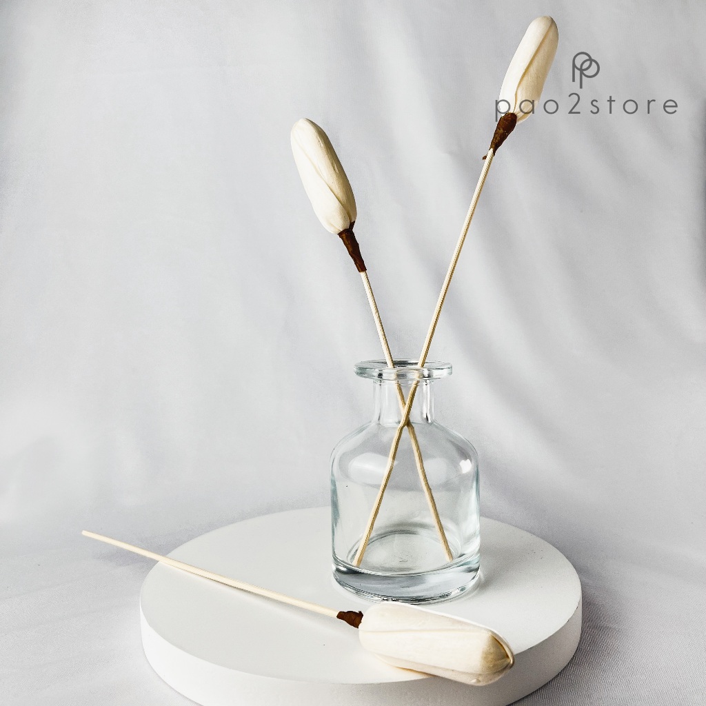 Jual Rattan / Rotan Reed Stick - Sola Dried Flower / Bunga Kering untuk ...