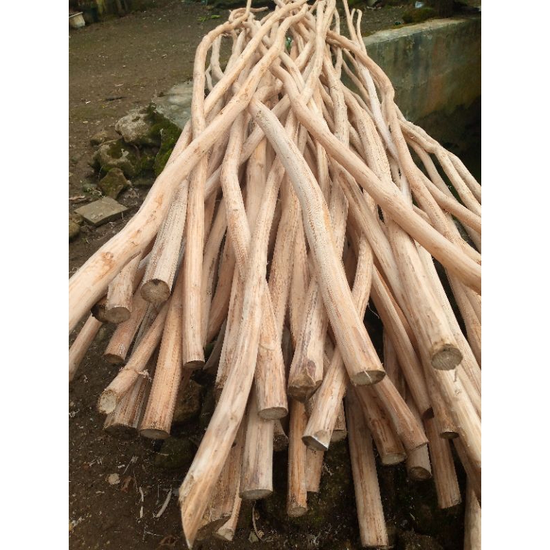 Jual Ranting kayu jati dekorasi satu ikat isi 10 batang panjang 2, 5 ...