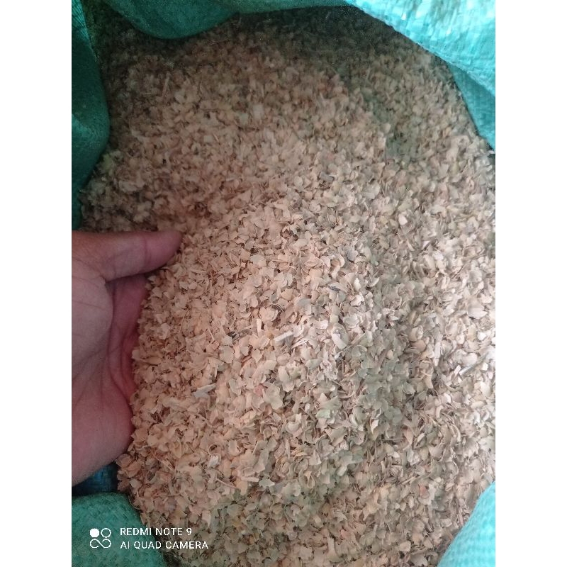 Jual Kleci / Klocopan Kedelai Repack 1 kg | Shopee Indonesia
