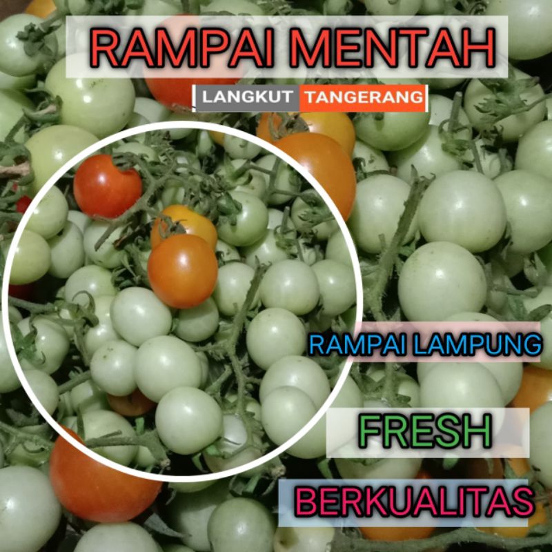 Jual RAMPAI LAMPUNG MENTAH SEGAR (PACKING : TIN WALL + KARDUS + BUBBLE ...