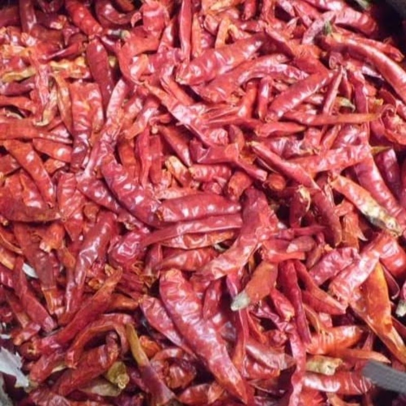 Jual CABAI RAWIT TEJA KERING/LOMBOK GARING 1 kg | Shopee Indonesia