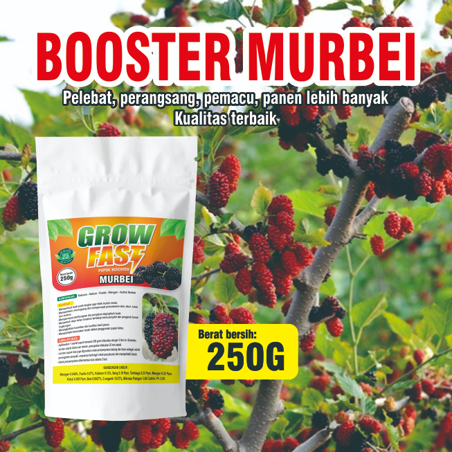 Jual Pupuk Booster Murbei (250gr) I pupuk organik pelebat tanaman I pupuk organik perangsang ...