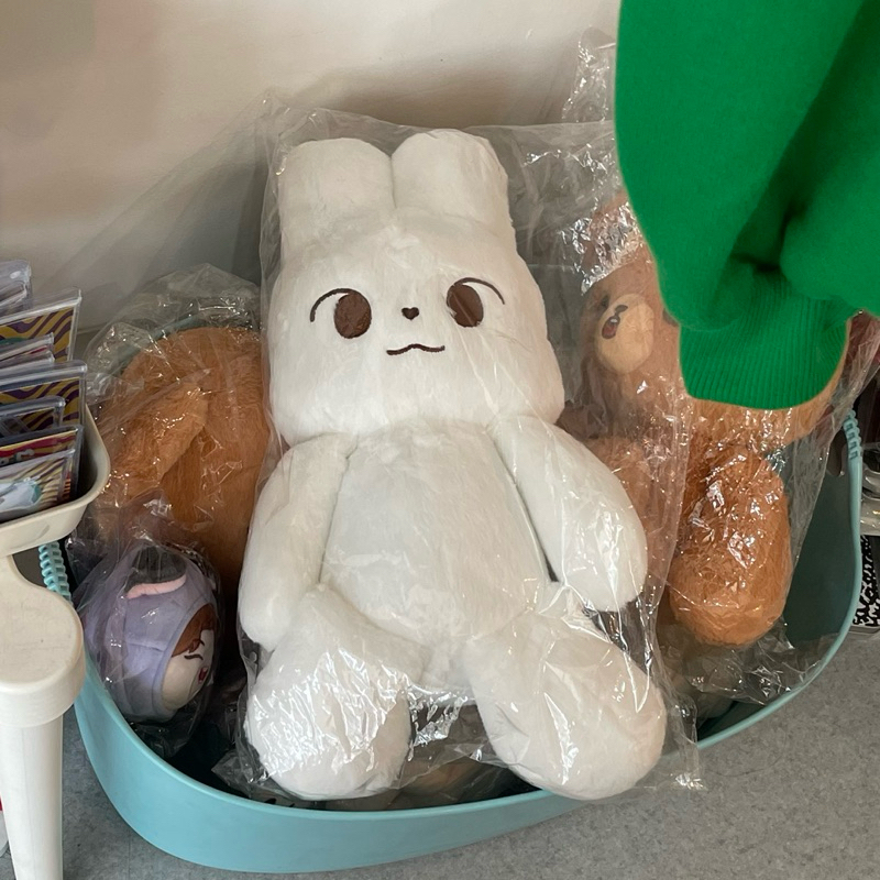 Jual kim dodo 50cm doll (doyoung nct doll) | Shopee Indonesia