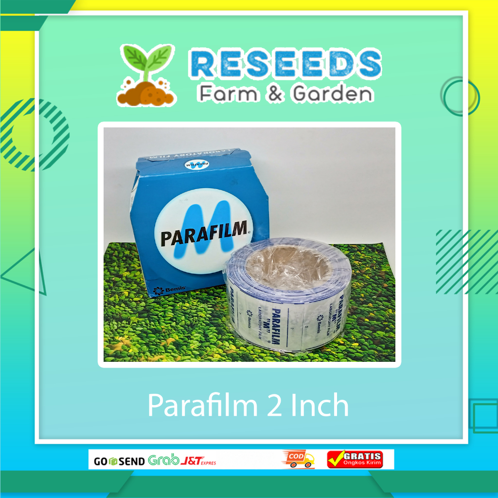 Jual Parafilm 2 Inch - Grafting Tape Plastik Stretch untuk Okulasi ...