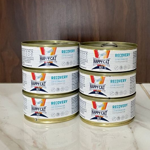 Jual RECOVERY HAPPY CAT 100GR WETFOOD | Shopee Indonesia