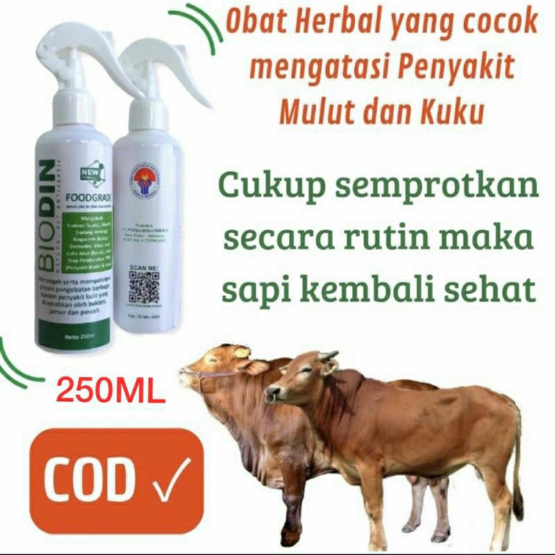 Jual BIODIN PMK SAPI Anti scabies pada hewan | Obat demodex,gudik,kurap ...