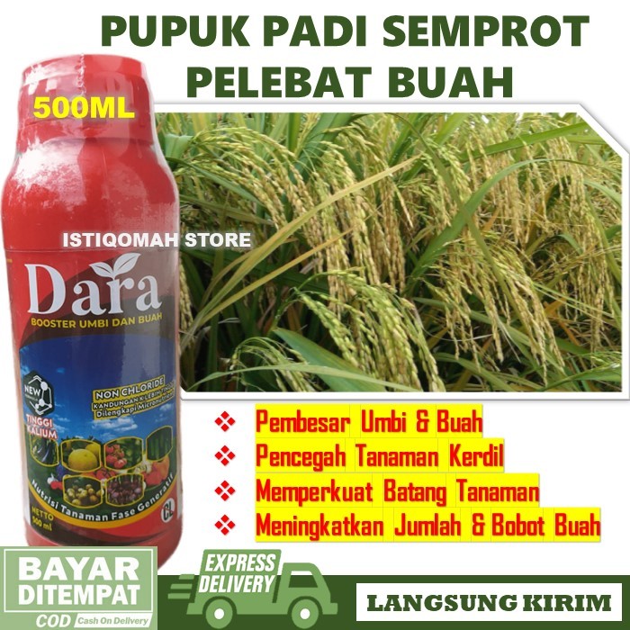 Jual Pupuk Padi Semprot Pelebat Buah Tambah Berbobot DARA isi 500ML Pupuk Organik Cair Booster ...