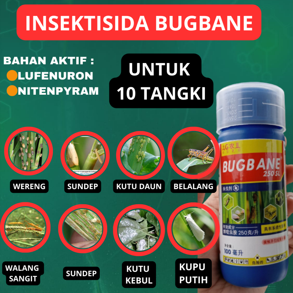 Jual Sangat Ampuh Basmi Wereng Dan Hama Serangga Kutu Daun Insektisida ...