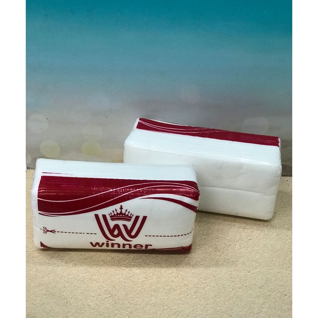 Jual WINNER TISSUE LAP DAPUR PREMIUM SERBAGUNA 200 GR TISU KERING ...