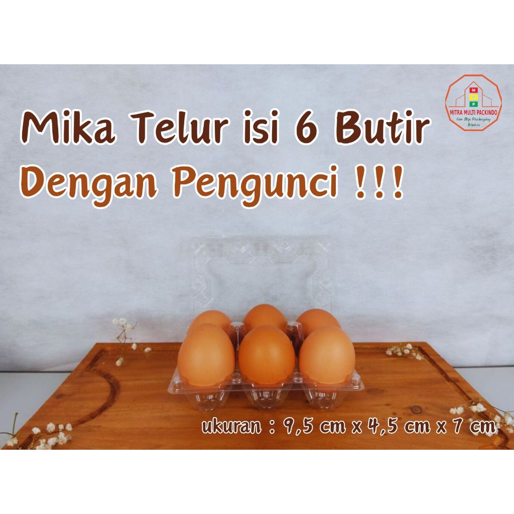 Jual Mika Telur Isi 6 Butir Dengan Pengunci/Lock (isi 50 pcs mika telur ...