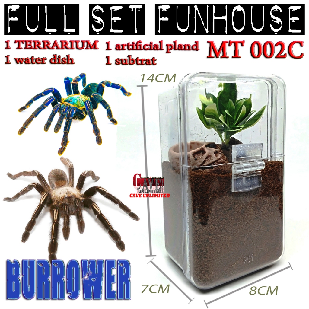 Jual MT002C PAKET TERRARIUM TARANTULA BURROW ARBOREAL TERRESTRIAL ...