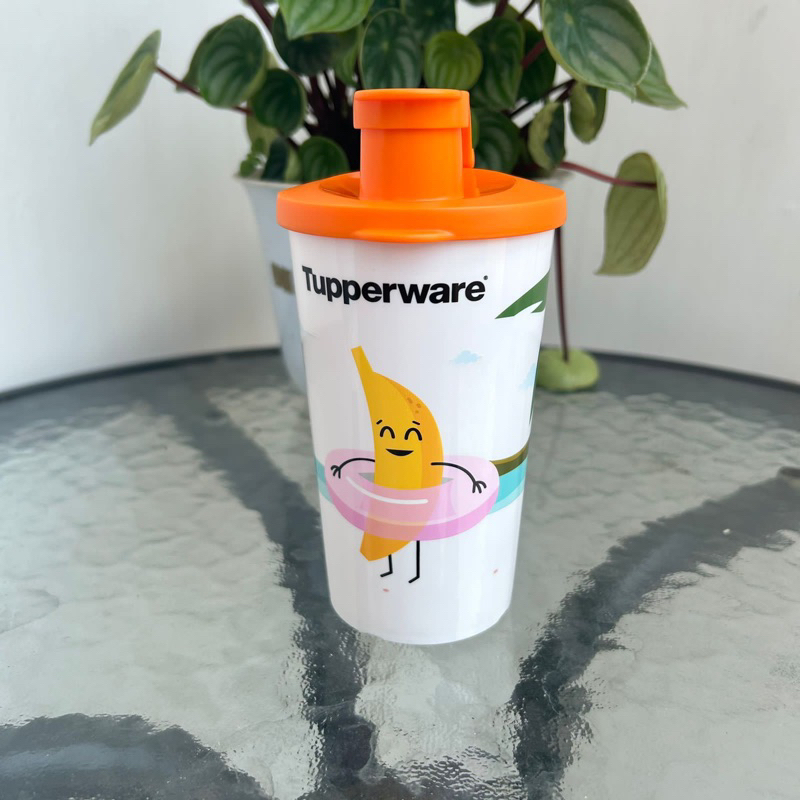 Jual buba tumbler Tupperware 330ml | Shopee Indonesia