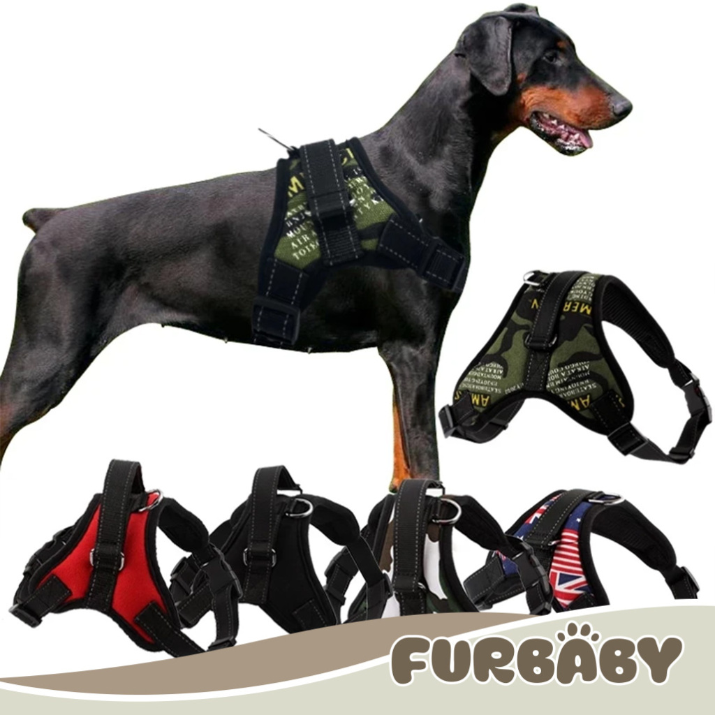 Jual Rompi Anjing Besar dengan Tali Tuntun | Harness Leash Dog Medium ...