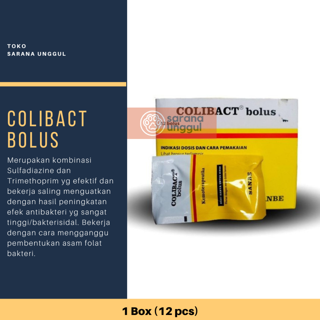 Jual COLIBACT BOLUS Obat Infeksi Bakteri untuk Hewan 1 Box isi 12 ...