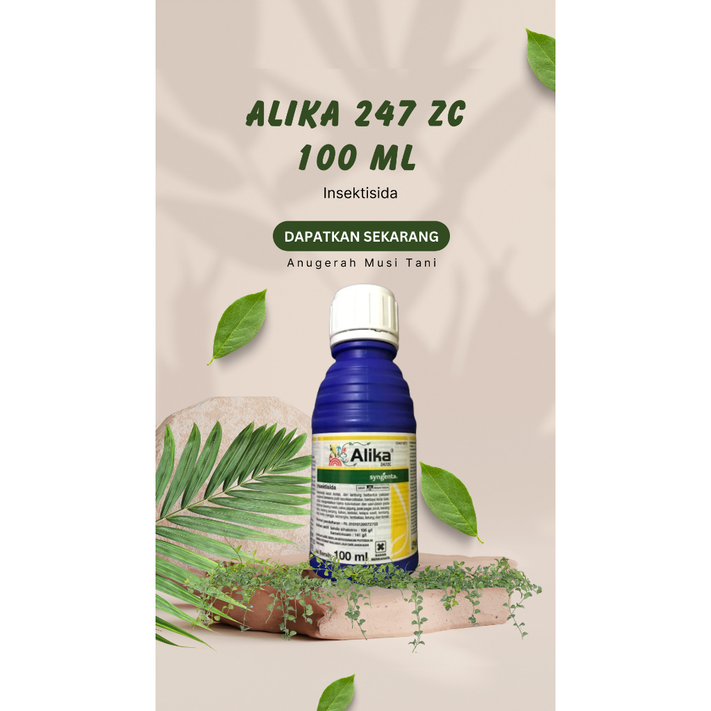 Jual Alika 247 ZC (100 ml) | Shopee Indonesia