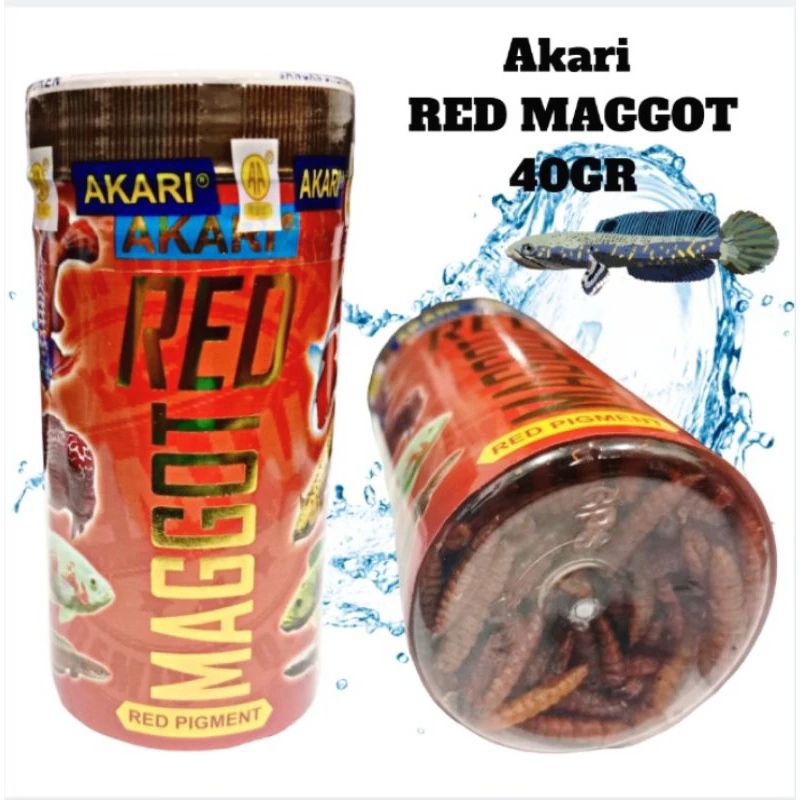 Jual AKARI RED MAGGOT 40GR MAKANAN PAKAN IKAN ARWANA KOI LOUHAN DAN ...