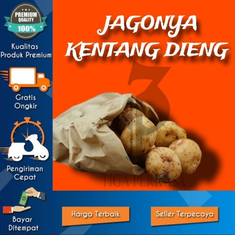 Jual kentang dieng kuning fresh asli berkualitas super, ukuran sedang ...