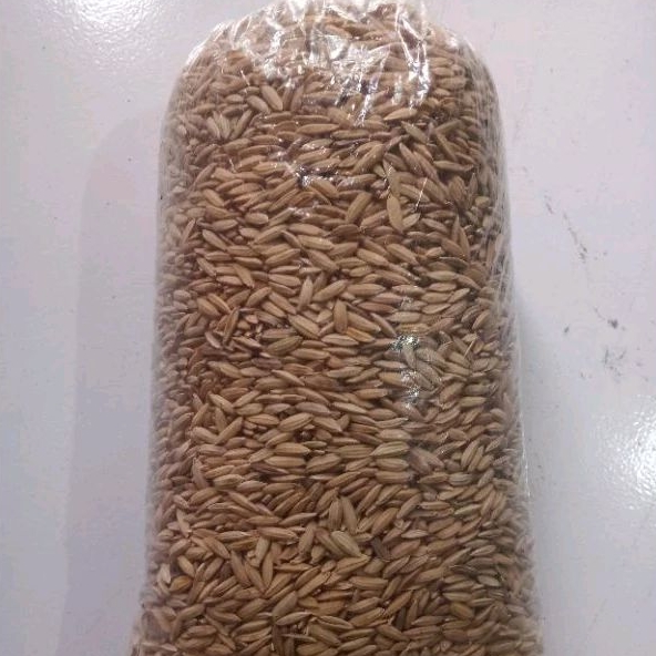 Jual Gabah Padi Lokal Beras Merah 1000 gr | Shopee Indonesia
