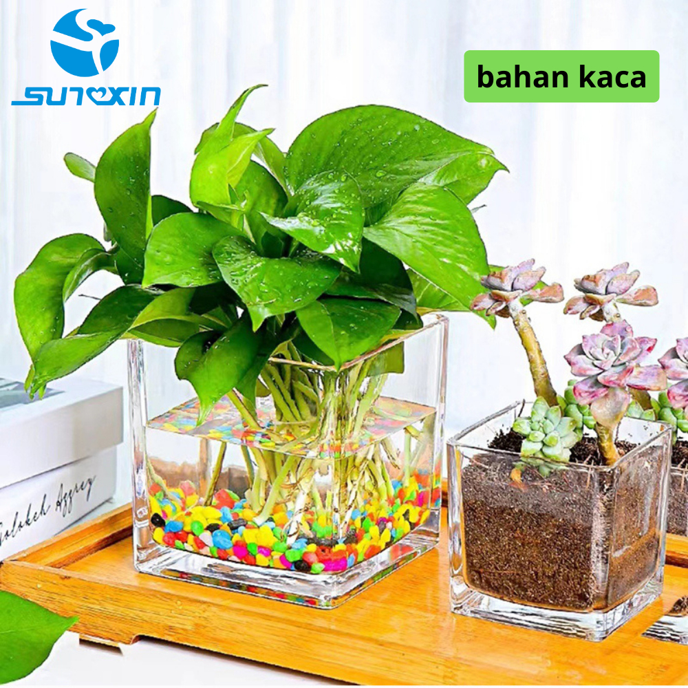 Jual SUNXIN VAS BUNGA KOTAK A18/ VAS TANAMAN AIR / VAS AESTHETIC / VAS ...