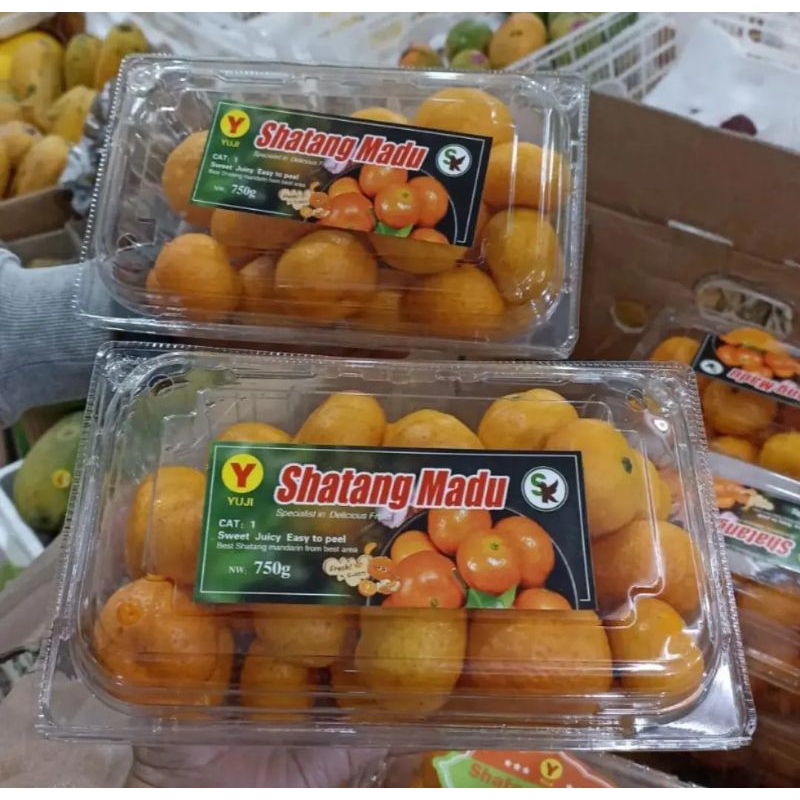 Jual Jeruk Santang madu hijau Santang pack | Shopee Indonesia