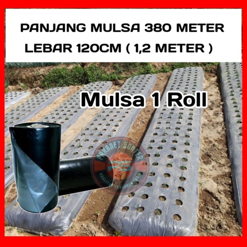 Jual PLASTIK MULSA 1 ROLL PANJANG 380 METER ( LEBAR 120CM / 1,2 METER ...