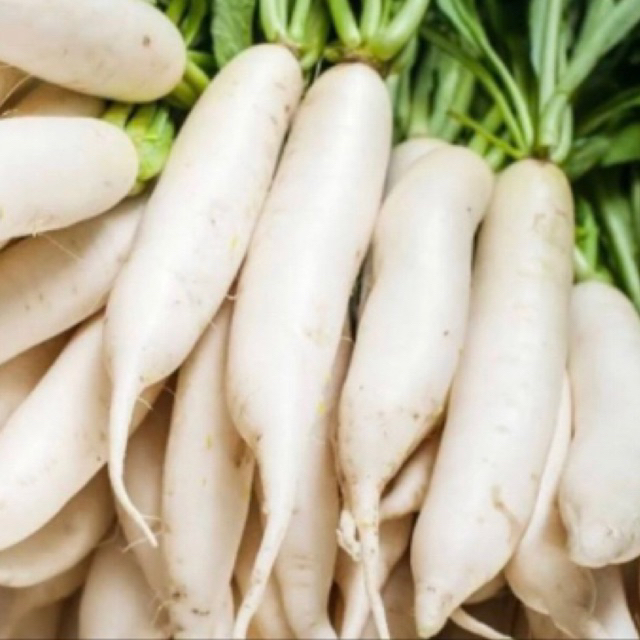 Jual lobak putih 1kg.Rp.10.000 | Shopee Indonesia