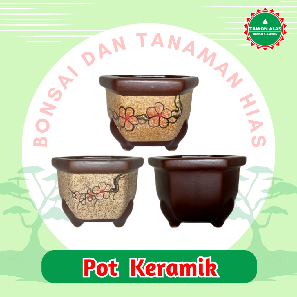 Jual Pot Keramik Bonsai dan Tanaman Hias Segi Enam Medium | Shopee Indonesia