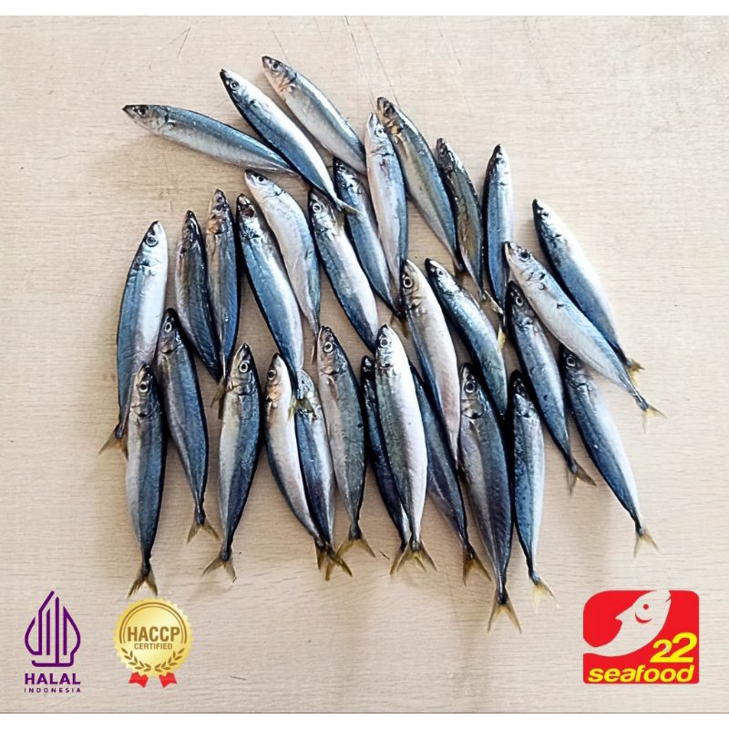 Jual Ikan Layang 1 kg 11-15 pcs / Ikan Layang Muroaji / Layang Biru ...