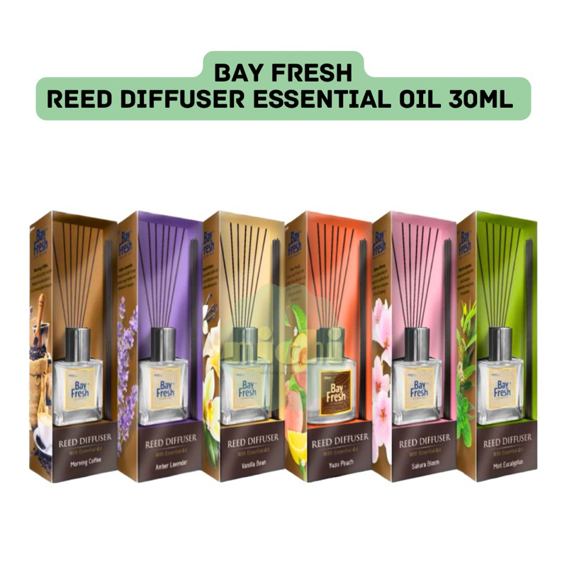 Jual Bayfresh Reed Diffuser Kemasan Reguler / Full Set | Shopee Indonesia