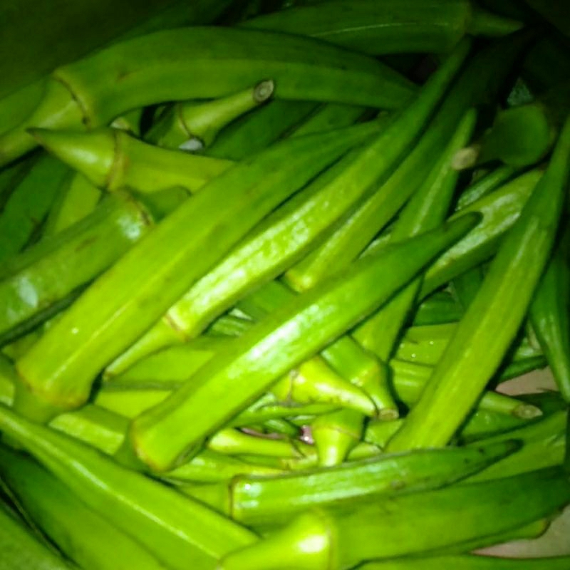 Jual SAYUR OKRA OKRO / BENDI / LADIES FINGERS segar | Shopee Indonesia
