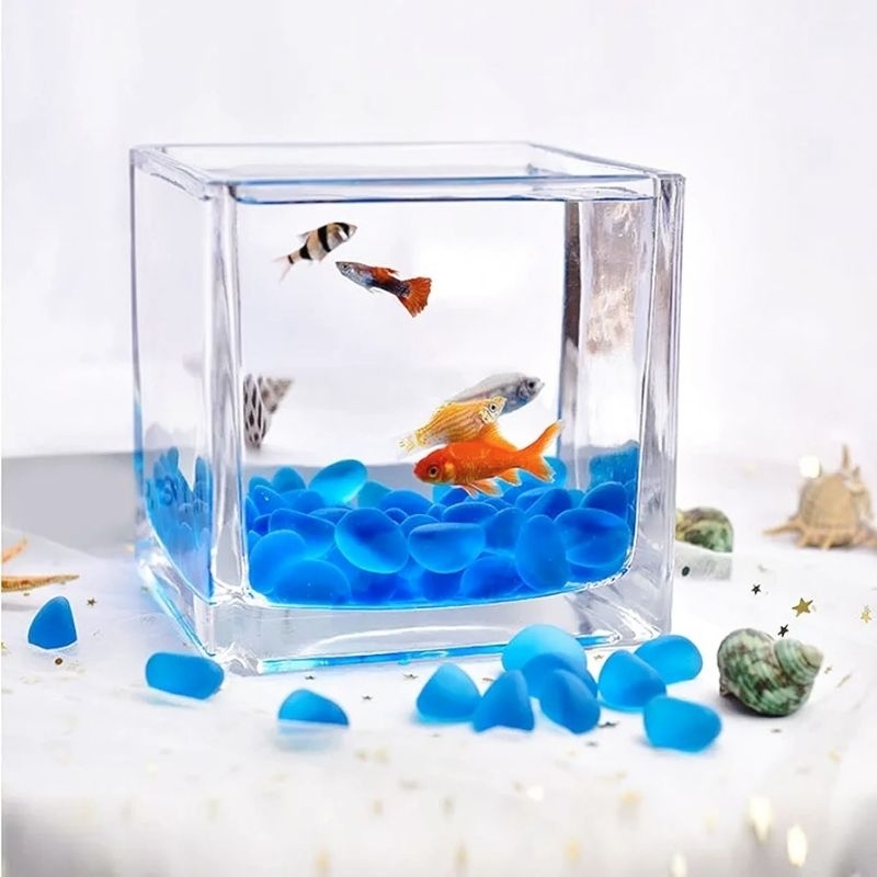 Jual Akuarium Ikan Hias Mini | Aquarium Kaca Kotak Persegi Ikan Cupang ...