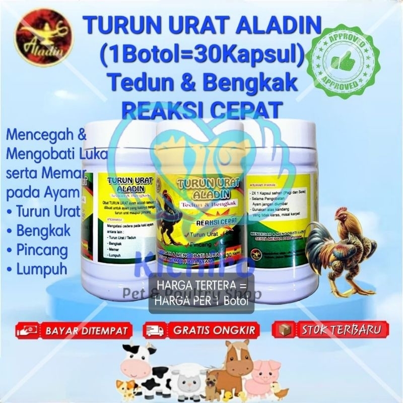 Jual Turun Urat Botol isi 30 Kapsul Aladin Tedun & Bengkak Mencegah Dan Mengobati Luka Serta ...