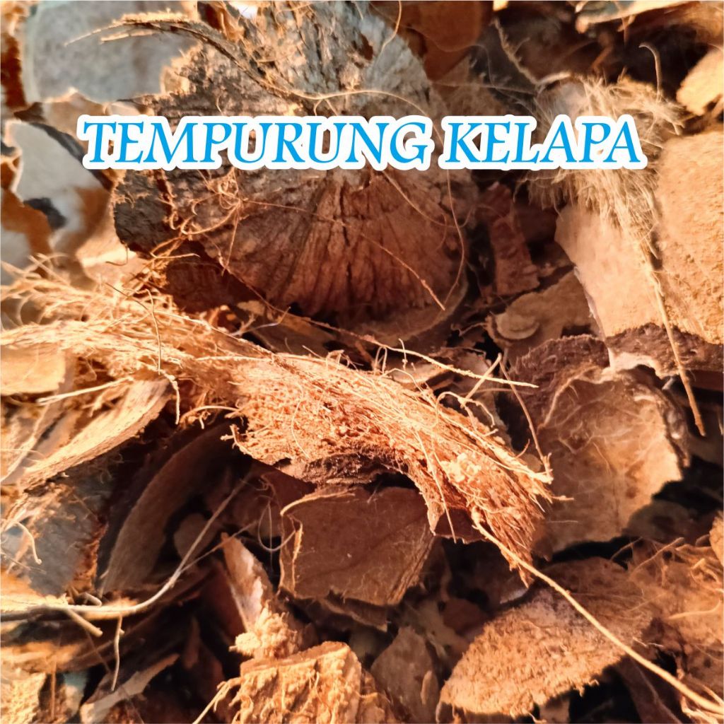 Jual Tempurung Batok Kelapa 1 Kantong Hitam Besar | Shopee Indonesia