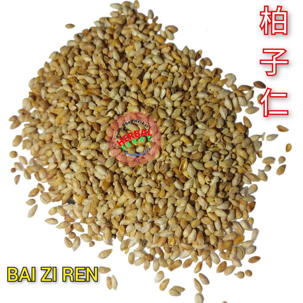 Jual 100 gram - Bai Zi Ren / Bo Zi Ren 柏子仁 - Semen Platycladi Biota ...