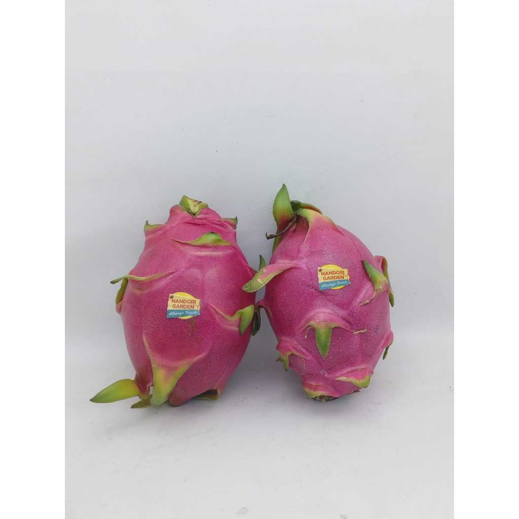 Jual Buah Naga Putih Value KG | Shopee Indonesia