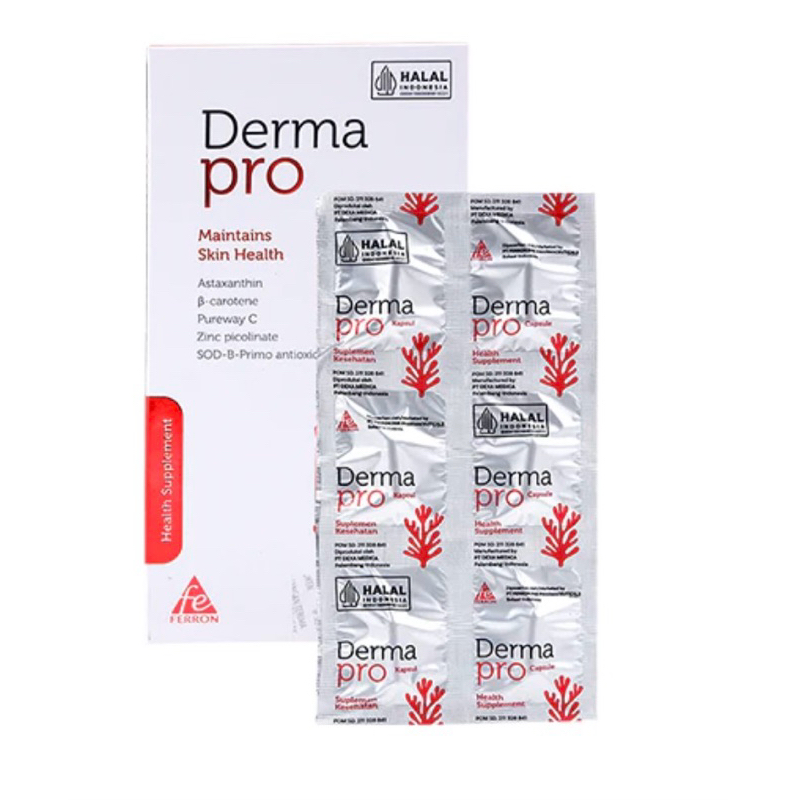 Jual DermaPro box 30 tablet ( antioxidant kesehatan kulit ) | Shopee ...
