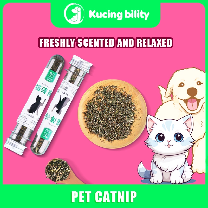Jual 40ML BOTOL CATNIP CAT Daun Catnip Snack Kucing Mint Herbs Serbuk ...