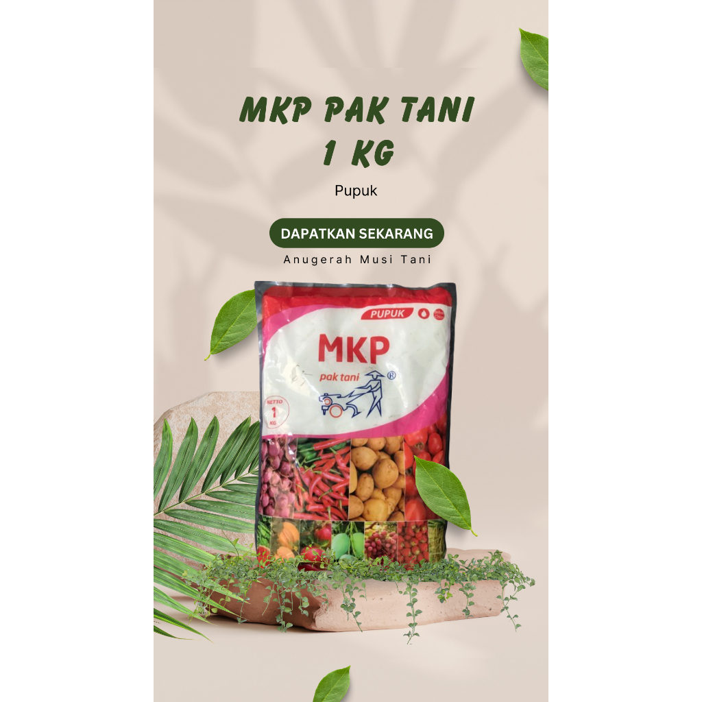 Jual Pupuk MKP Pak Tani (1 Kg) | Shopee Indonesia