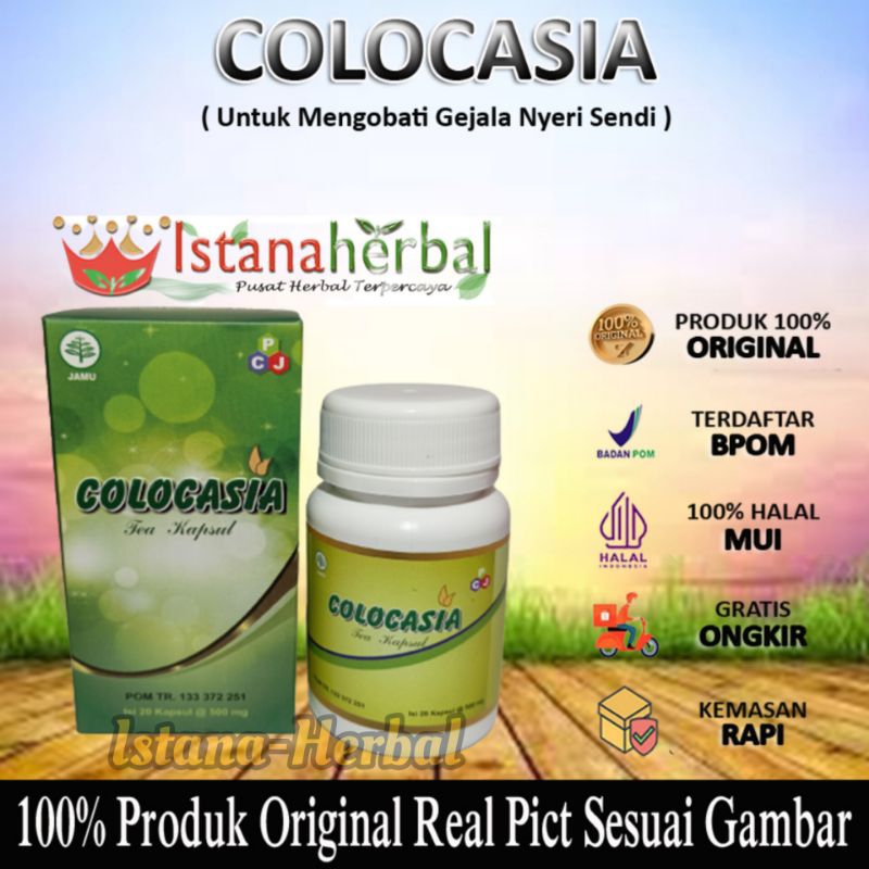 Jual Colocasia Tea Kapsul Asli Original Obat Nyeri Sendi Dan Tulang ...