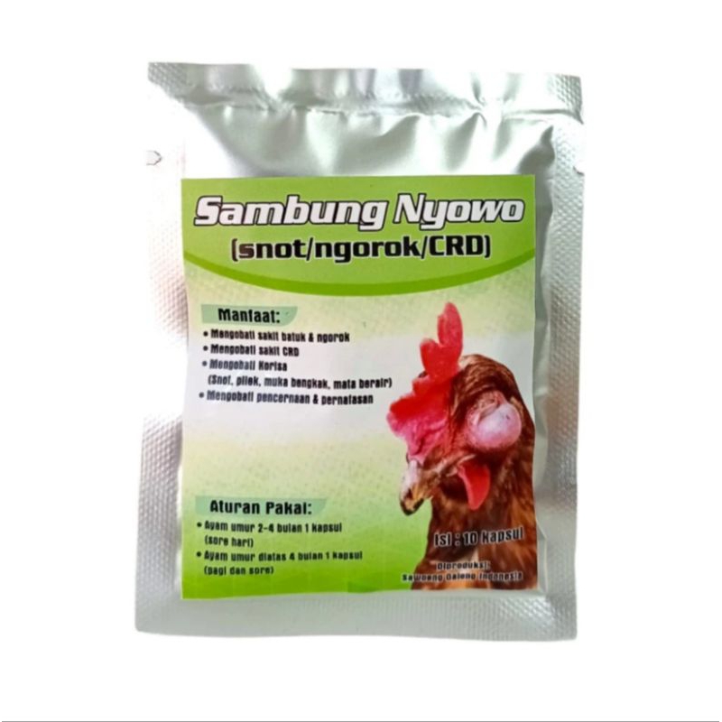 Jual SAMBUNG NYOWO 10 KAPSUL OBAT SAKIT SNOT NGOROK CRD BATUK PILEK ...