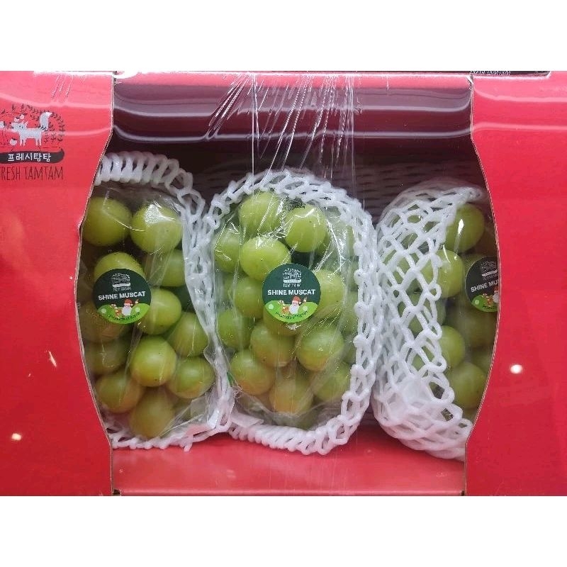 Jual Anggur muscat korea 1 box merry christmes isi 3 pack | Shopee ...